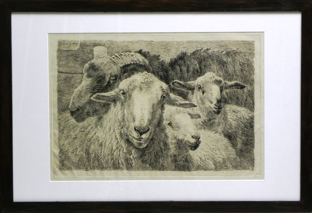 Lebret, Frans – Caput Ovis Museum